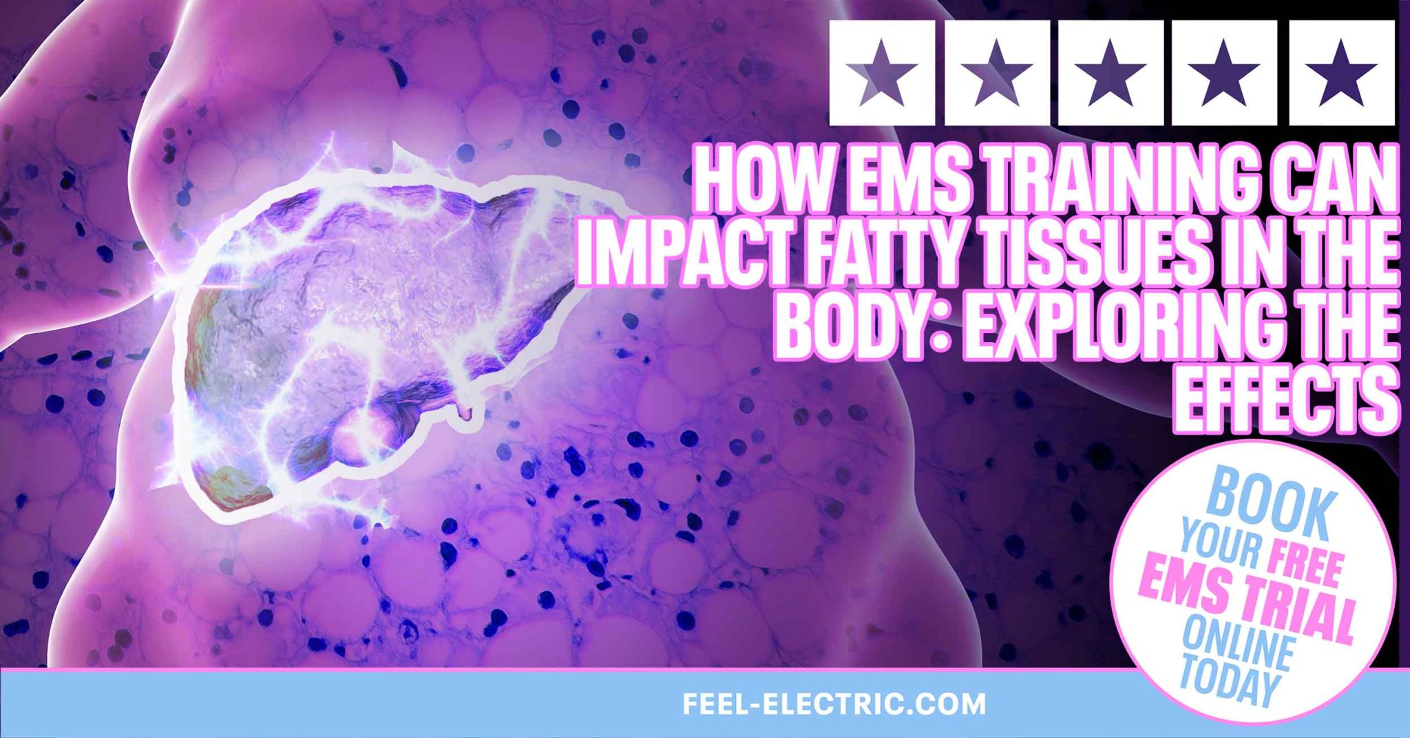 How EMS Training Can Impact Fatty Tissues in the Body: Exploring the ...