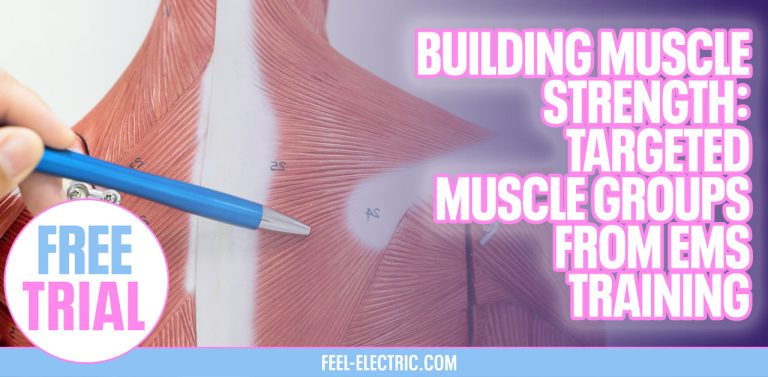 Building Muscle Strength – Targeted Muscle Groups from EMS training ...