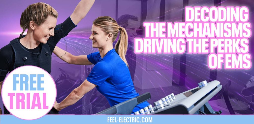 Decoding the Mechanisms Driving the Perks of EMS | Feel Electric EMS